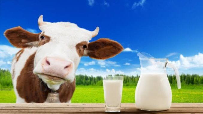 Cattle By-products: Products we get from cattles – JiteFarms