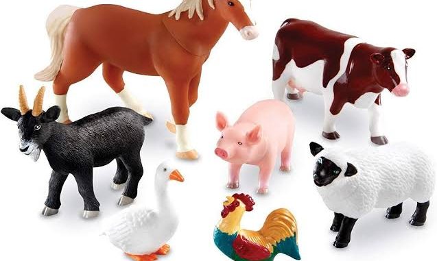 List Of Farm Animals, Fun Facts and Pictures » JiteFarms