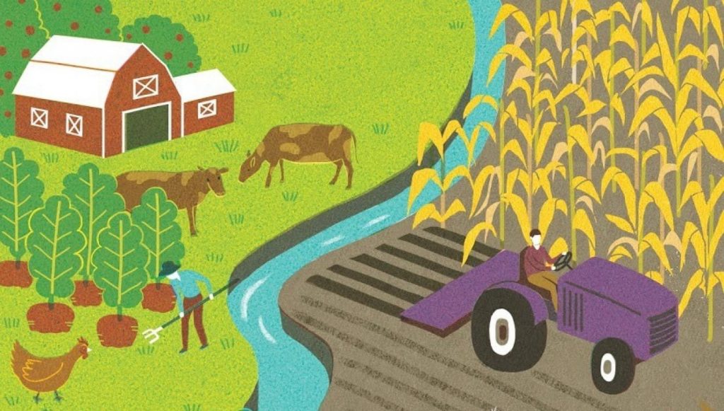 Difference Between Subsistence And Commercial Farming » Jitefarms